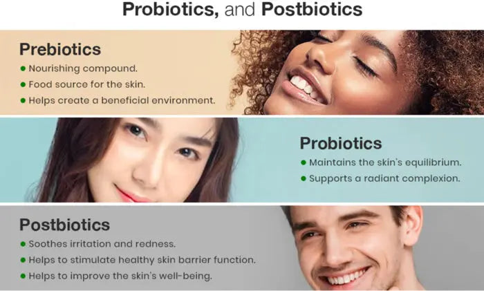 Pierre F Probiotic Moisturizing Face Cleanser 8 oz. - PinkPro Beauty ...